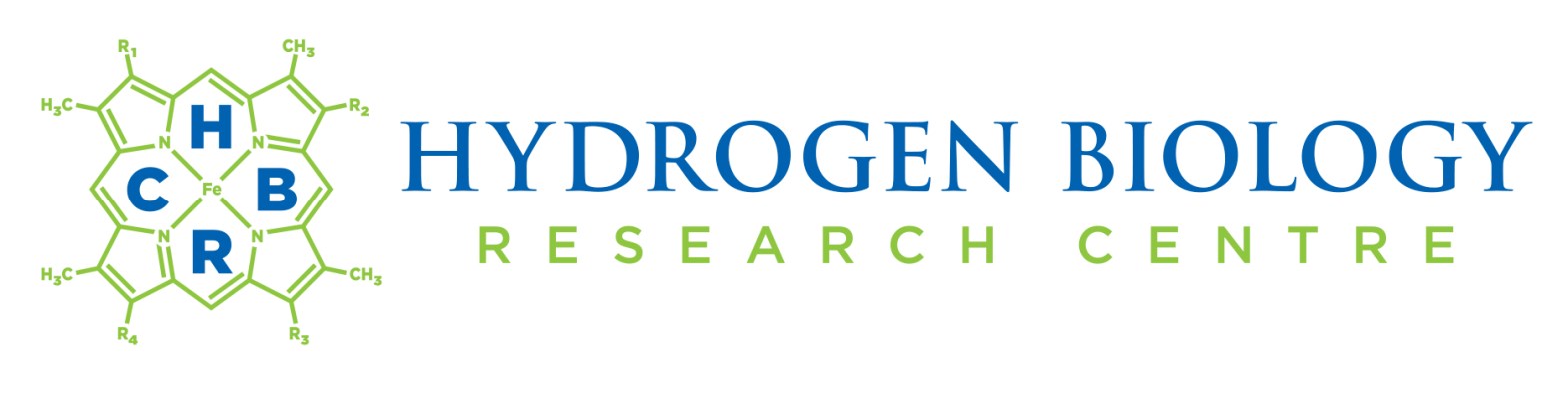 About Hydrogen Biology Research Center: Advancing Applied Research in ...