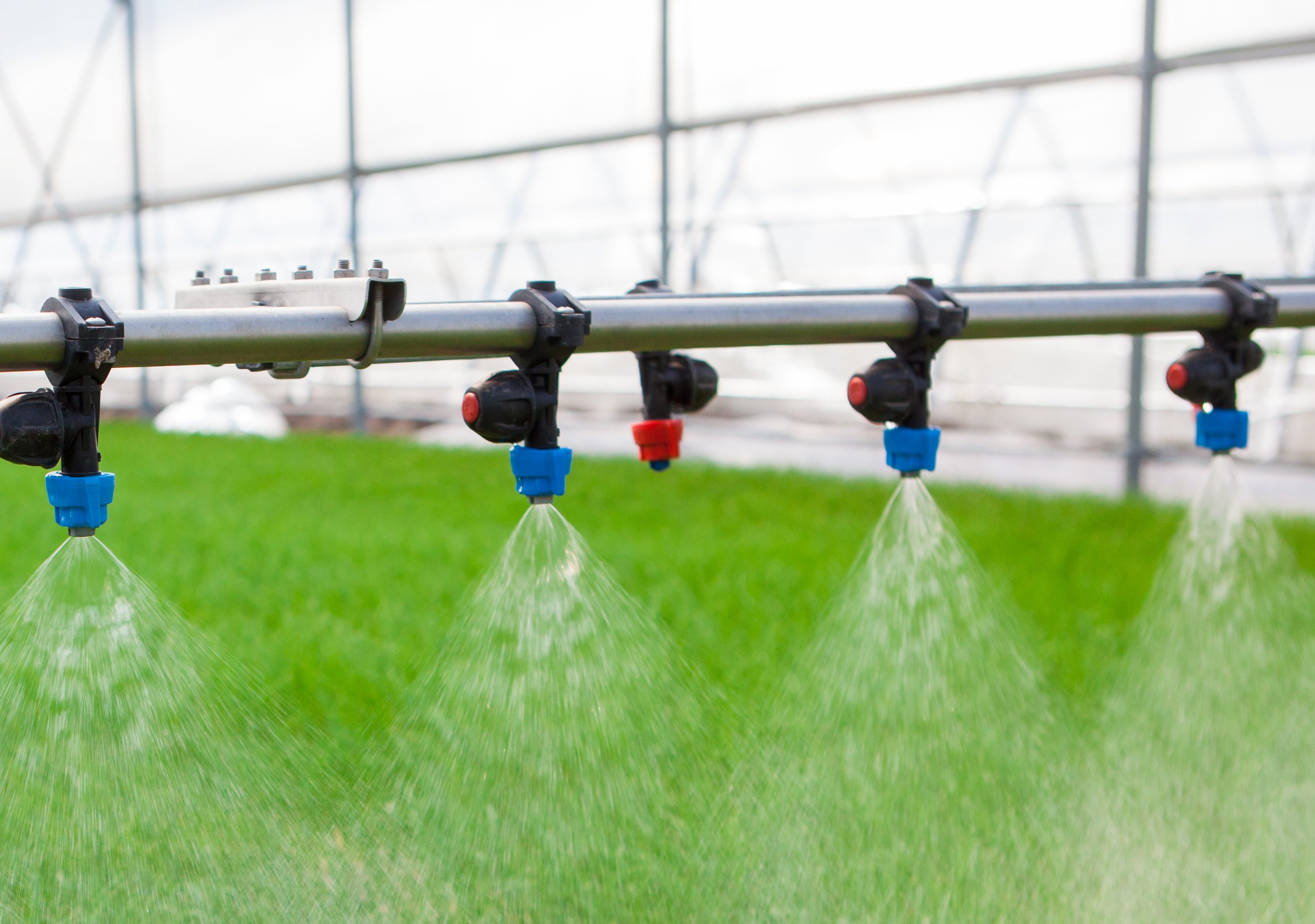 Hydrogen Driven Agriculture - Hydrogen Biology Research Center